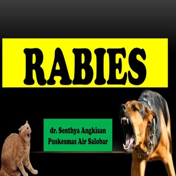 RABIES pada wilayah kerja puskesmas penatalaksanaan di dareah | PPTX