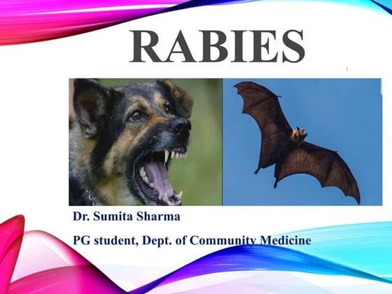 Rabies prevention and control | PPTX