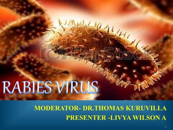 Rabies vaccine ppt | PPTX