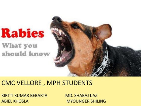 Rabies prevention and control | PPTX