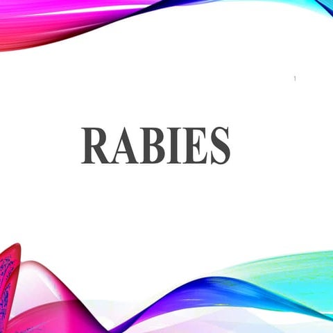 Rabies | PPTX