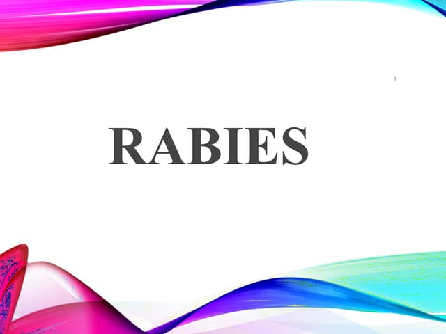1.RABIES Awareness Presentaion powerpoint | PPTX