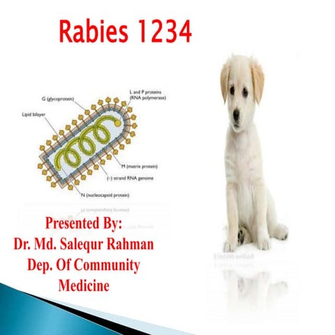 Rabies | PPTX