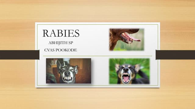 Mc fadyean reaction | PPTX