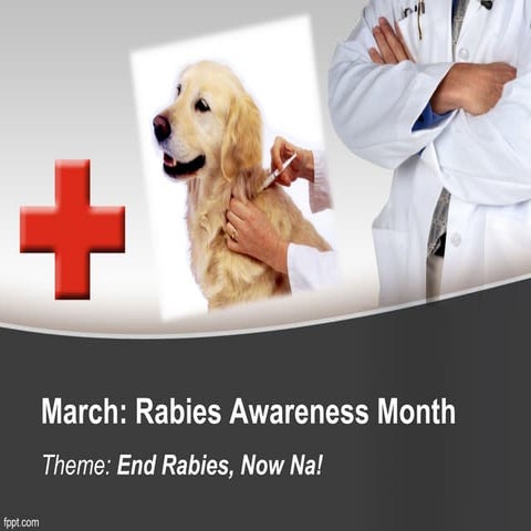 Rabies Awareness | PPT