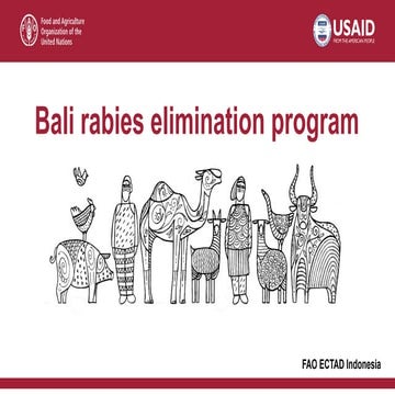 Rabies Bali 2008-2020_WRD Webinar_WSAVA 2020_Final.pptx