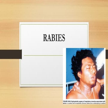 RABIES single strand RNA virus zoonotic infection | PPT