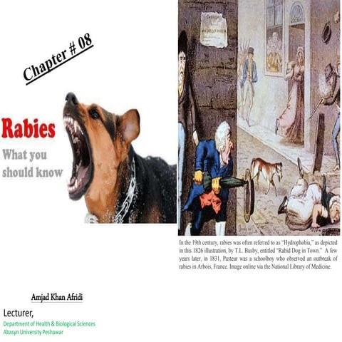 Rabies Infection.pptx