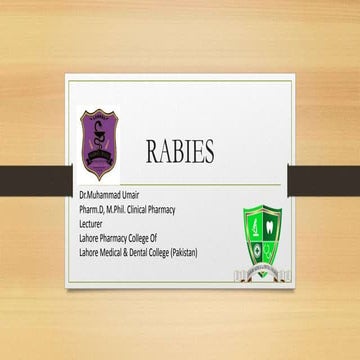 Rabies Lecture (infection) | PPTX