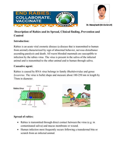 Red blood cell formation and fate of RBC | PDF