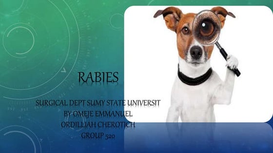 Rabies | PPT
