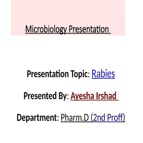 Rabies Presentation By Ayesha Irshad.pptx pharmacy department | PPTX