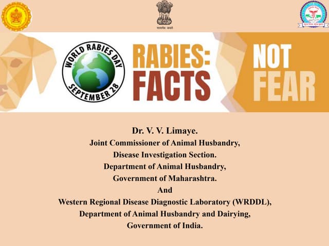 1.RABIES Awareness Presentaion powerpoint | PPTX