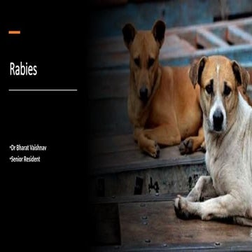 Rabies: 100% Fatal but 100% Preventable Disease | PPTX