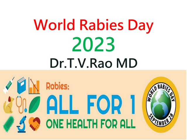 Rabies Awareness | PPT