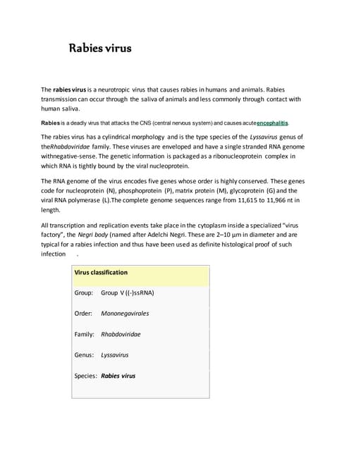 VIROLOGY - RABIES VIRUS | PPTX
