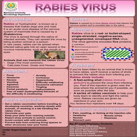 Rabies virus | PPTX