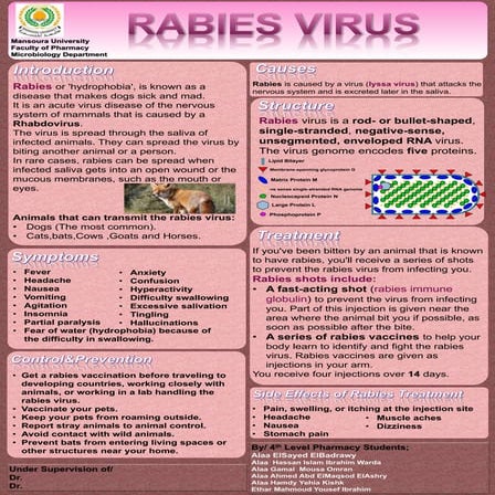 Rabies virus | PDF