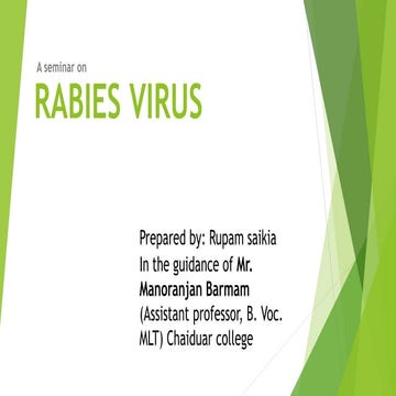 RABIES VIRUS.pptx