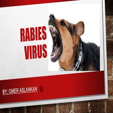 Rabies Virus.pptx