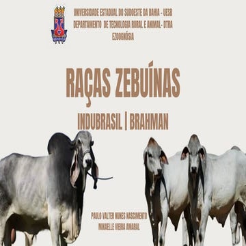 RAÇAS ZEBU. INDUBRASIL E BRAHMAN. Pdf🐄🐂 | PDF