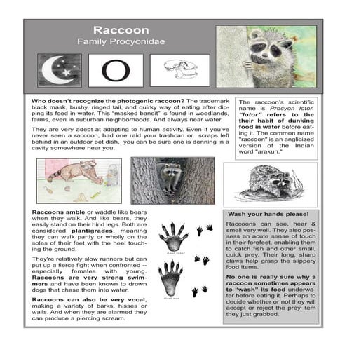 Backyard and Wildlife Safety.pptx