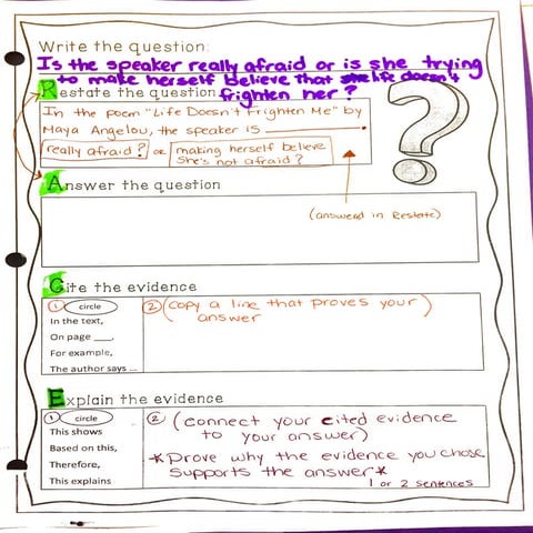 Race graphic organizer | PDF