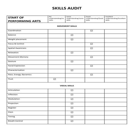 SKILLS AUDIT.pdf