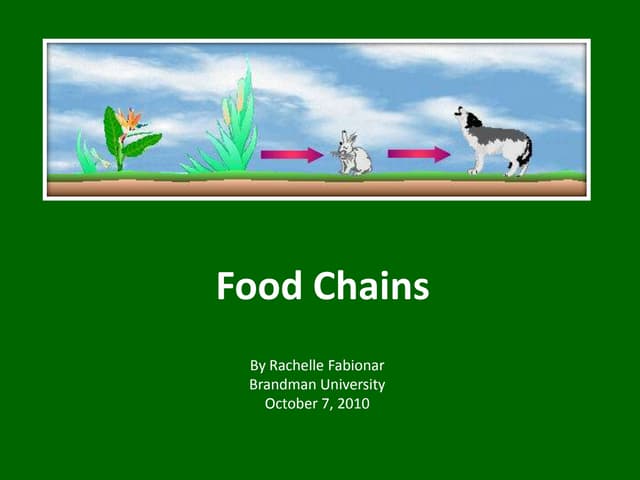 Food chain power point | PPTX