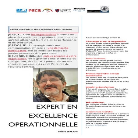 Rachid berkani consultant cv en | PDF