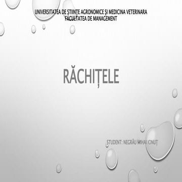 Rachitele | PPT