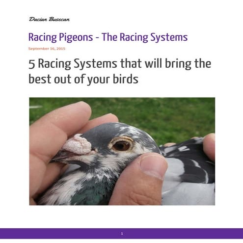 Racing Pigeons - The Racing Systems | PDF