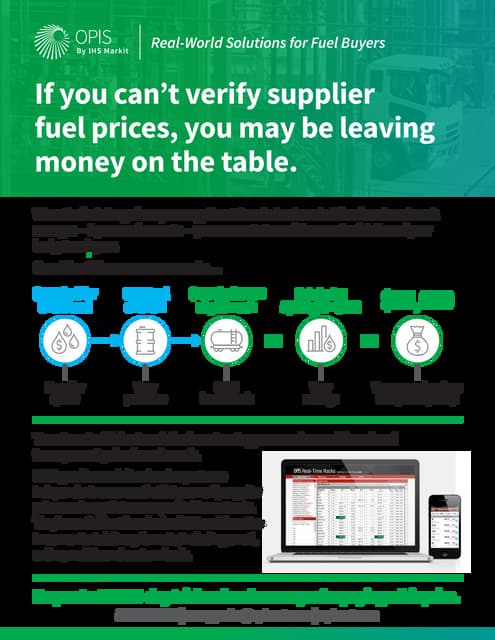 OPIS Buyer Persona: Transportation | PDF