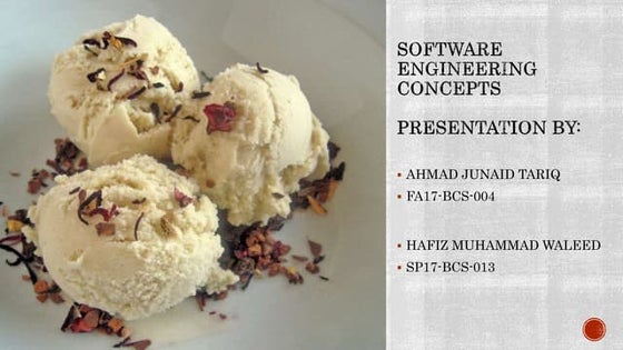 What Is Rapid Application Development? Everything To Know | PDF