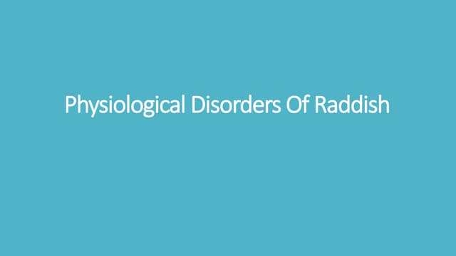 Production Technology of Radish | PPTX