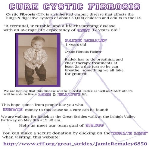 Radek Poster | PDF | Lung and Respiratory Health | Diseases and Conditions