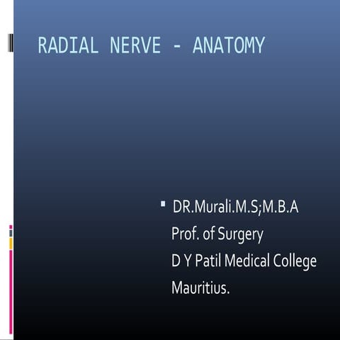 Radial Nerve Anatomy Ppt Intraneural Posterior Interosseous Nerve