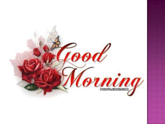 Swimmer’s view.pptx