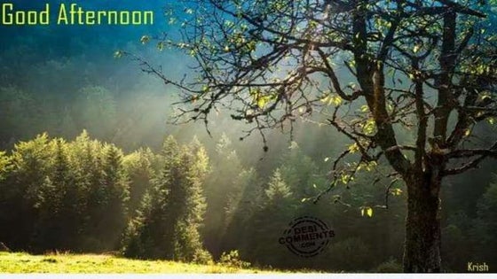 Manual Film Processing.pptx