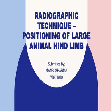 Equine Radiography: Positioning Techniques & Tips for Acquiring Good ...