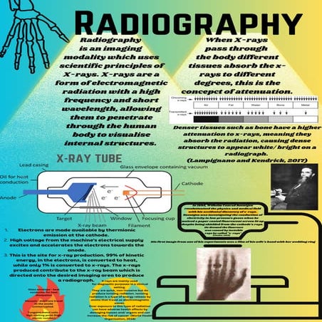 Radiography Factsheet.pdf | Chemistry | Science
