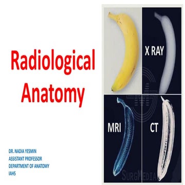 Comprehensive Radiological Anatomy: Imaging Modalities and Brain ...