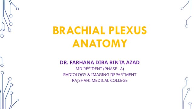 Brachial Plexus Anatomy | PPTX
