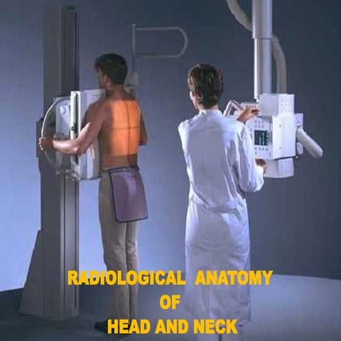 RADIOLOGY OF LOWER LIMB - Anatomy .pptx