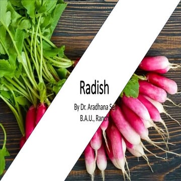 Cultivation Practices of Radish (Raphanus sativus).pptx
