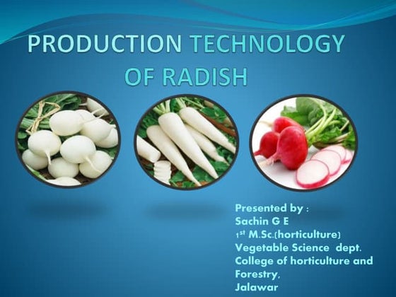 Cabbage: Origin, Taxonomy, Botany, genetics, cytogenetics, breeding ...