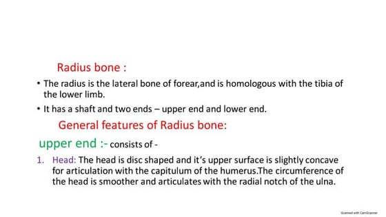 Bone classification | PDF | Bone and Joint Conditions | Diseases and Conditions
