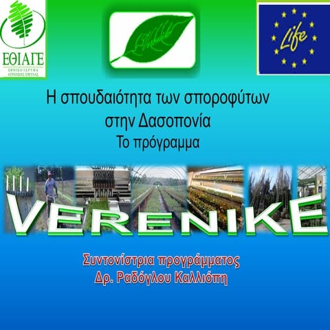το δασος | PPTX