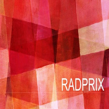 Radprixonlinestore presentations