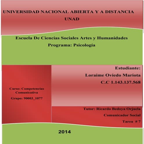 PASOS PARA LA ELABORACION DE UN RAE | PPTX